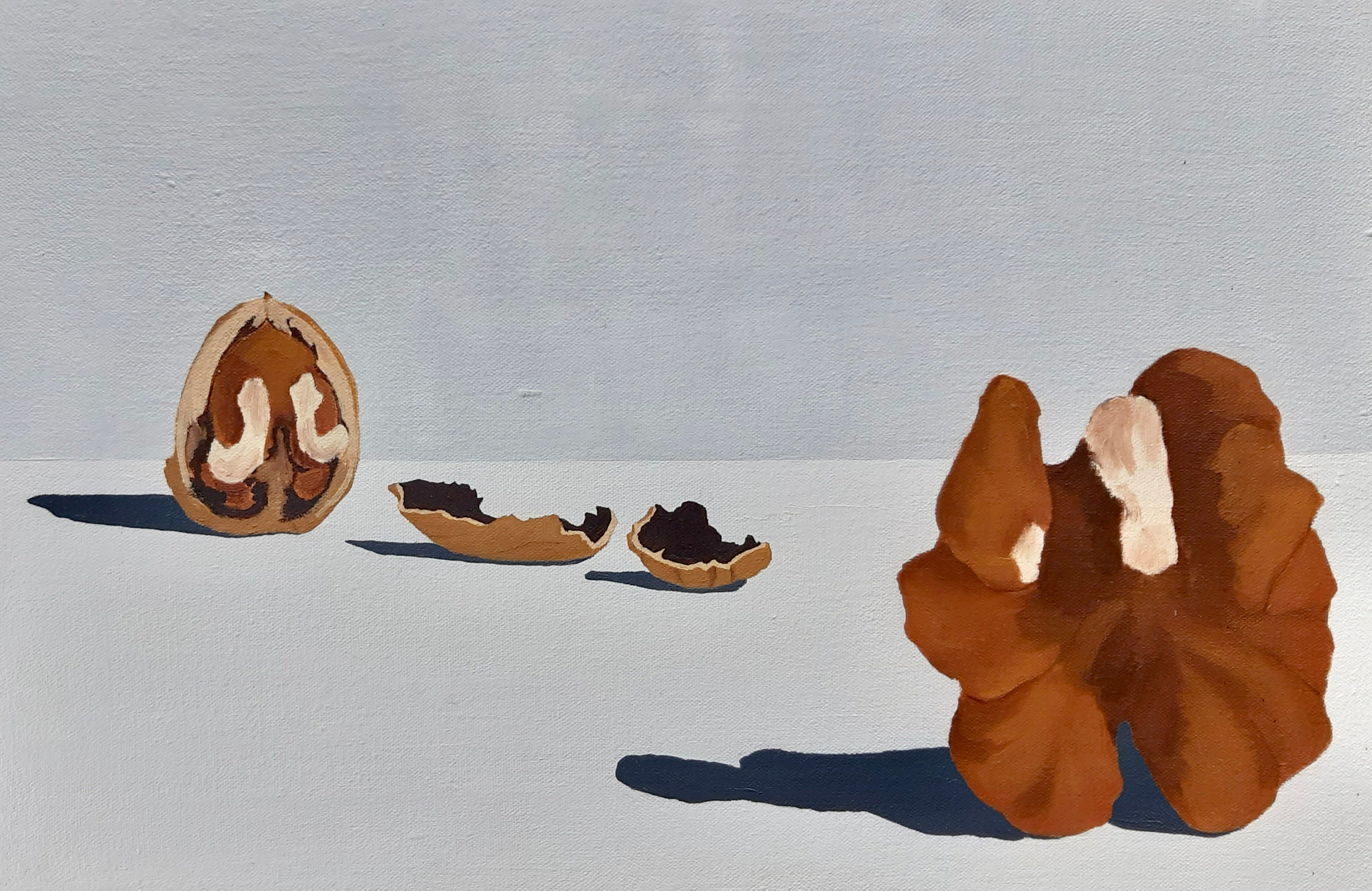 Walnuts – Alice Carter Artist